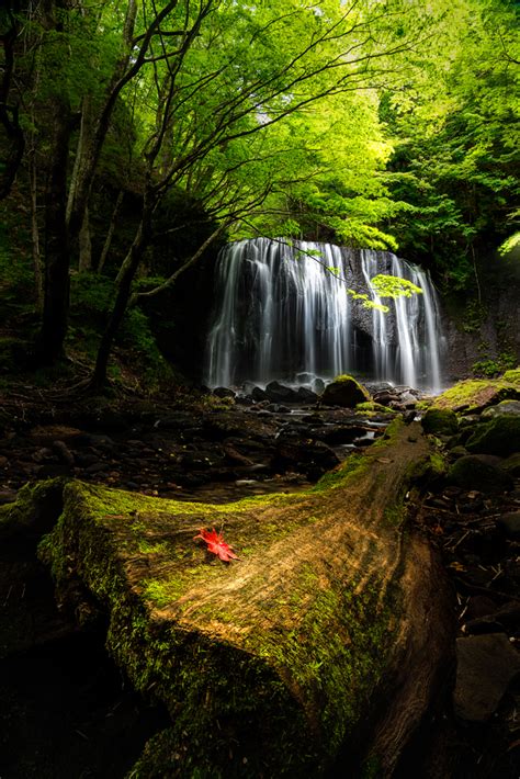 By Maschi Id Photohito