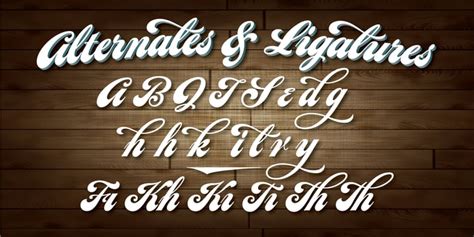 Lhf Chicago Script Font Webfont And Desktop Myfonts