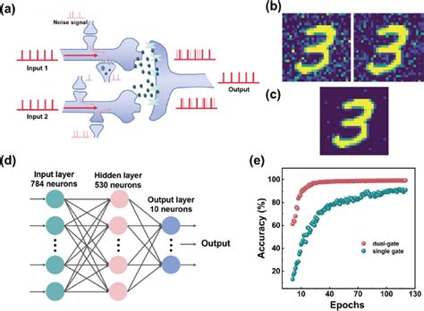 A Illustration Of A Hetero Synapse Performing Spatiotemporal Signal Download Scientific