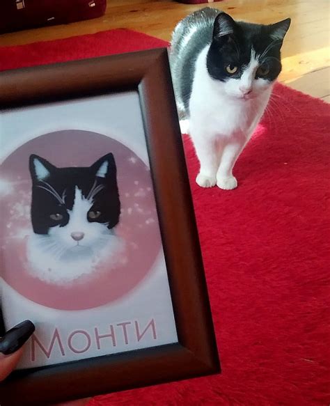 Портрет на домашен любимец Handmasters Bg