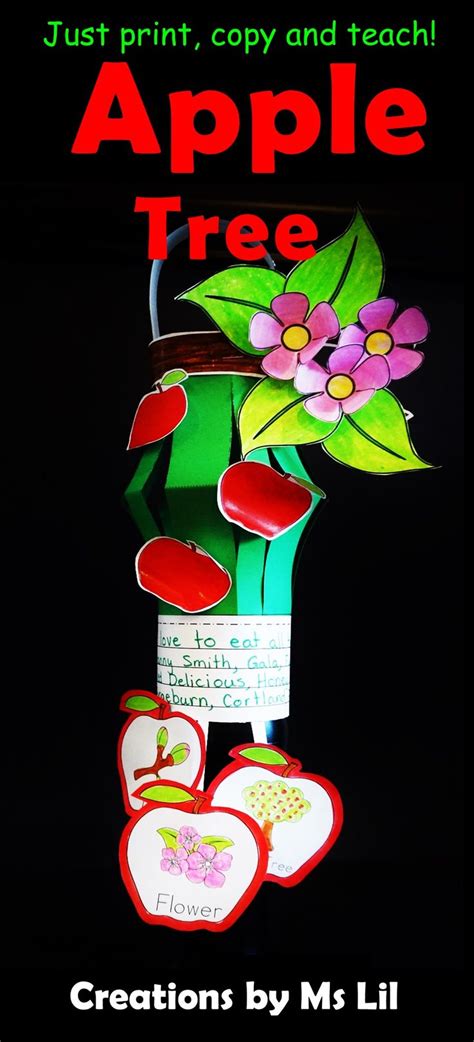Apples Apples And More Apples A Creative Way To Teach About Apples And
