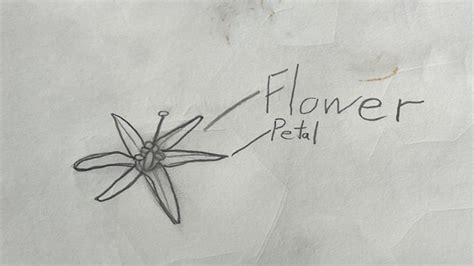 Dancing Through The Parts Of A Flower UCLA CONNECT