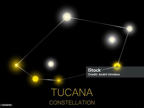 투카나 별자리 밤 하늘에 밝은 노란색 별 깊은 우주 우주에 있는 별의 클러스터 벡터 일러스트레이션 Planetarium Building에 대한 스톡 벡터 아트 및 기타