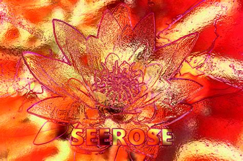 Texture Shader Plugins Publishing Only Paint Net Forum