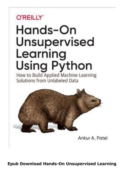 epub download hands on unsupervised learning using python how to build