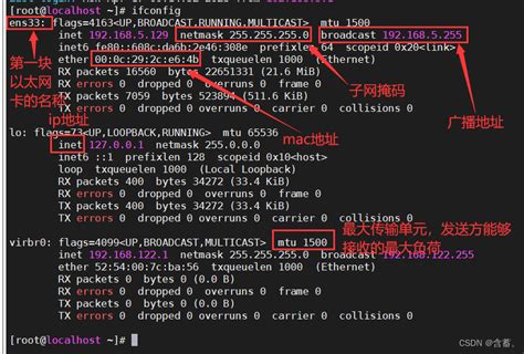 linux中的网络 linux 网络 csdn博客