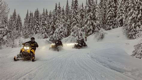 2026 Ski Doo Trail Snowmobiles