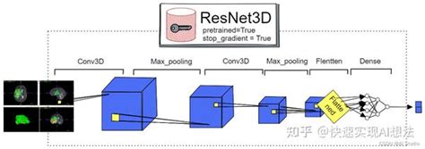 使用resnet3d加载医学图像预训练权重进行影像组学分析 知乎