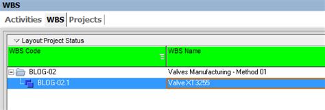 Create Similar Activities In Other P WBS Elements