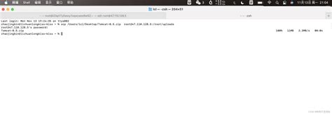 mac在linux上上传本地文件压缩包（tomcat 解决方法（炒鸡详细