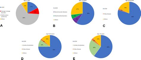 Estimated Prevalence Of Sarcomeric Hcm And Different Phenocopies