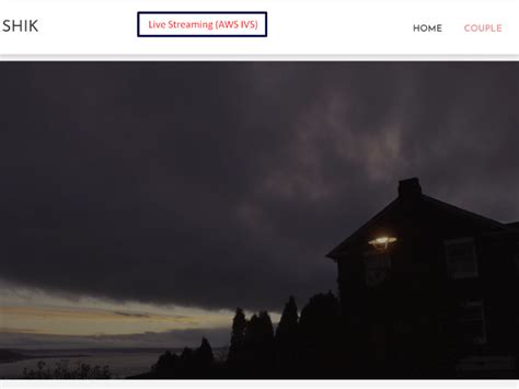 A Professional Python Django Website Upwork