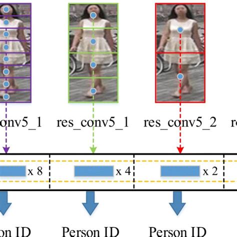 Overview Of Multi Level And Multi Scale Horizontal Pooling Network Download Scientific Diagram