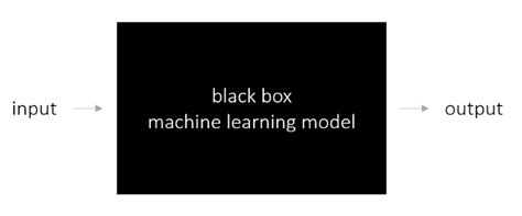 4 Model Agnostic Interpretability Techniques For Complex Models The