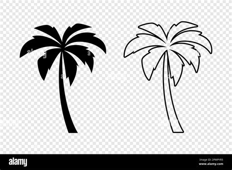Vector Palm Trees Palm Tree Icon Set Isolated Palm Silhouettes Design Template For Tropical