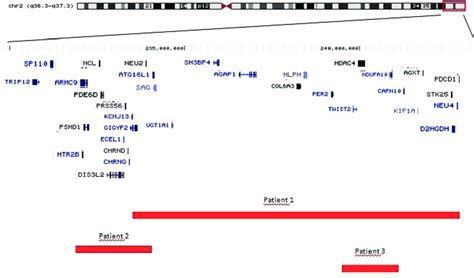 Chromosomal Microarray Testing Results And The Genome Map Around 2q37