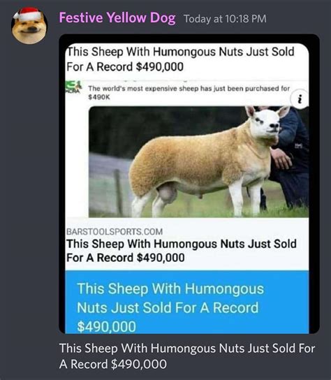 Fat Dick Sheep Rule R197