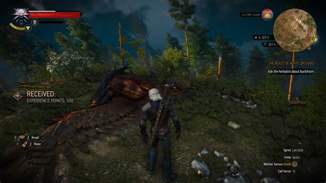 Experience Received The Witcher 3 Wild Hunt Interface In Game