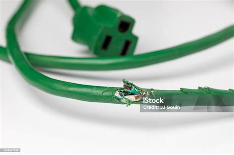 마우스의 전기 연장 코드 배선 손상 설치류 통제 마우스 감염 및 주택 수리 개념 케이블에 대한 스톡 사진 및 기타 이미지 케이블 연장 코드 손상 Istock