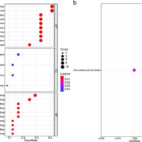 Go And Kegg Enrichment Analyses Of The Signature Gene A Go