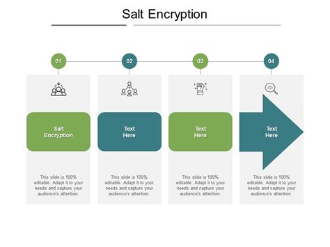 Salt Encryption Ppt Powerpoint Presentation Outline Icon Cpb Presentation Graphics