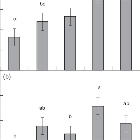 Effects Of Deficit Irrigation Regimes 20 40 60 80 And 100 Of
