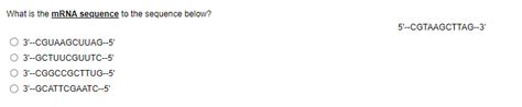 Solved What Is The MRNA Sequence To The Sequence Below Chegg Com