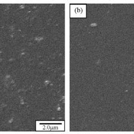 The SEM Images Of The PS TiO2 A And PS FePc TiO2 B Films 66 Download Scientific Diagram