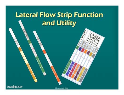 Lateral Flow Strip Function And Utility