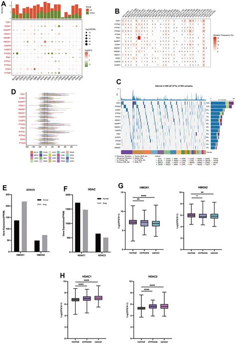 Integrative Transcriptome And Single Cell Sequencing Technology
