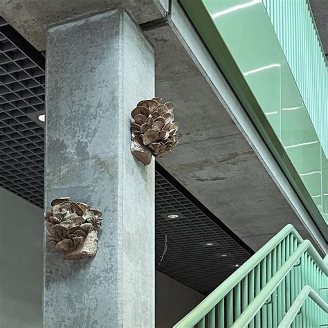 Ana Torfs Puh Poh Wee