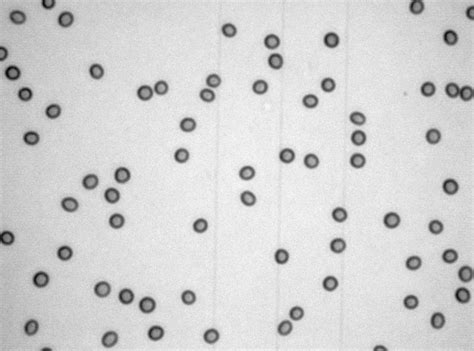 Original Grayscale Image A Image After Window Level Transformation Download Scientific