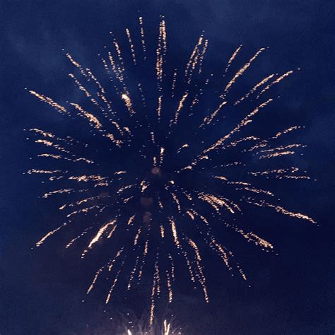 Spoder Cd Lyrics Genius Lyrics