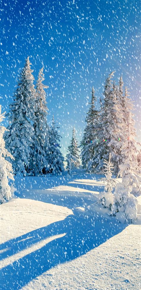 Snowfall Wallpapers 28 Images Wallpapercosmos