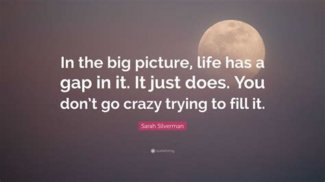 Sarah Silverman Quote “in The Big Picture Life Has A Gap In It It