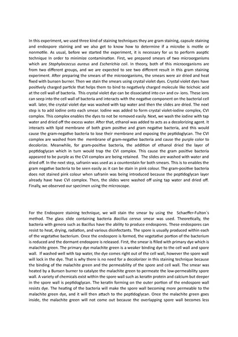 Discussion Lab Lab In This Experiment We Used Three Kind Of Staining Techniques They