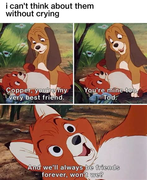 The Fox And The Hound A Touching Tale Of Friendship Fox And The