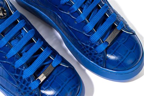 Inspiración En Cada Paso El Logro De Carlos Pons