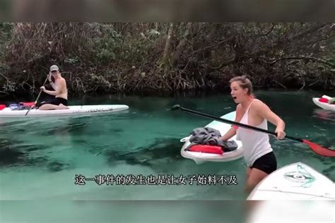女子正在划船突然冲过来一只浣熊干的事差点把人笑翻 浣熊 干的事 女子