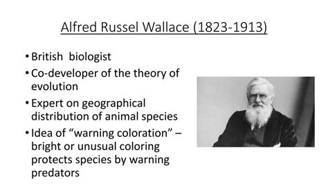 Scientists Of Evolution And Taxonomy Ppt Download