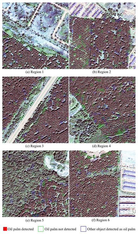 The Image Detection Results Of TS CNN Based Method A F In Six Download Scientific Diagram