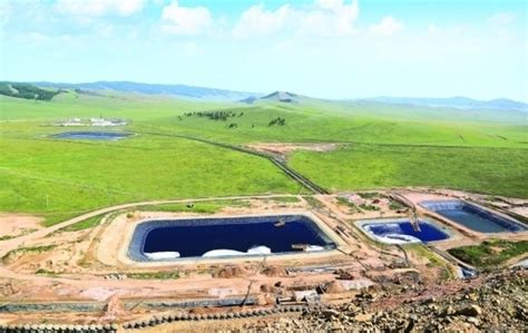 Хаягдсан овоолгоос боссон ДЭЛХИЙН ҮЙЛДВЭР