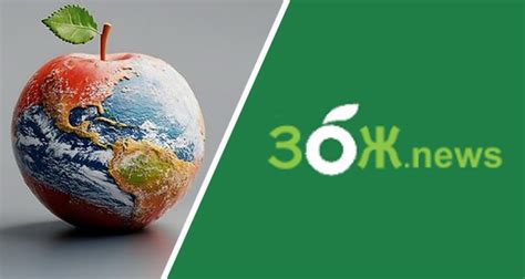 Врачи назвали 8 признаков рака поджелудочной железы Новости ЗОЖ Newsа