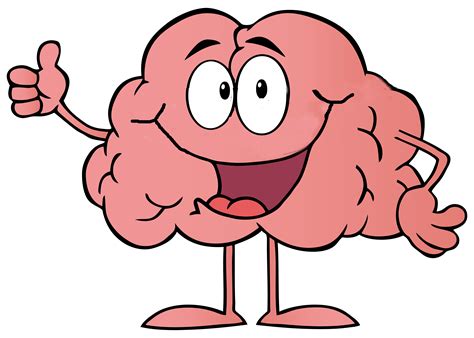 Cartoon Brain Clip Art Brain Png Download 4500 3214 Free