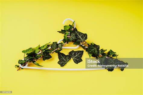 옷걸이는 복사 공간이있는 노란색 배경에 식물과 얽혀 있습니다 쇼핑에서 의식적이고 환경 친화적 인 가정 재활용 또는 제로 폐기물 개념 쇼핑 판매 프로모션 0에 대한 스톡 사진