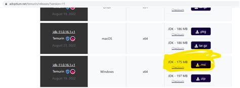 Install And Setup Mulesoft Environment Klart Technologies