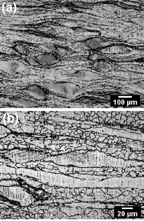 Optical Micrograph Shows Bimodal Microstructure Of Asextruded Zk60 Mg