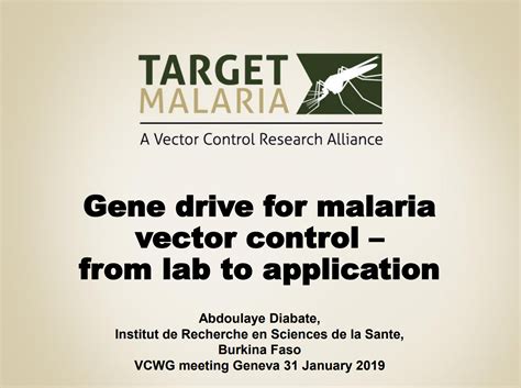 Gene Drive For Malaria Vector Control From Lab To Application Mesa