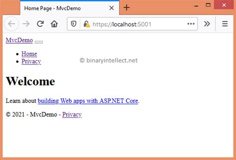 configure application startup in asp core 6 binaryintellect knowledge base