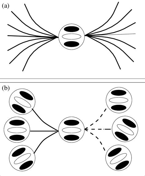 2 Association Fields For Contour Integration The Interaction Patterns Download Scientific